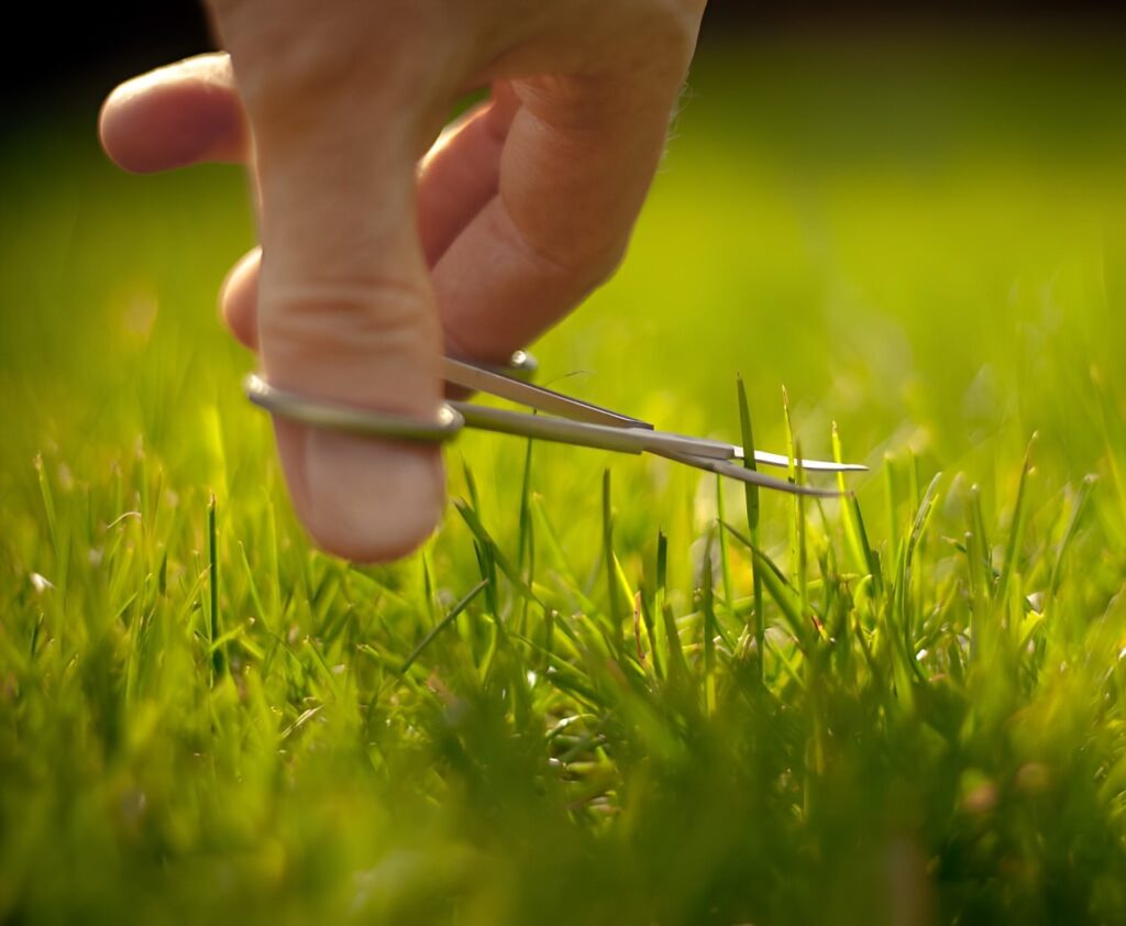 Small Stuff | More than Useless