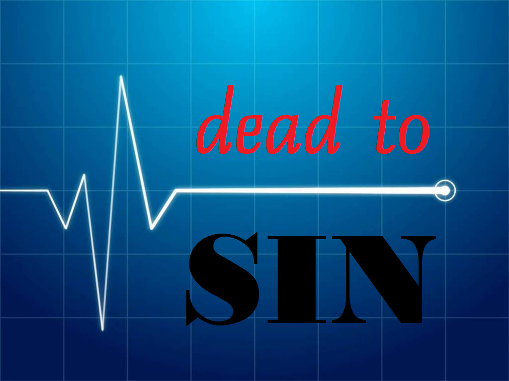 Dead to Sin | More than Useless
